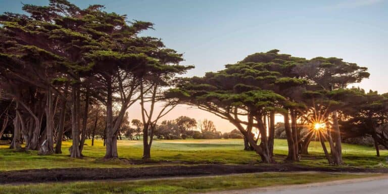 Flinders Golf Club | Golfwide